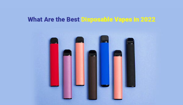 What Are the Best Disposable Vapes in 2022